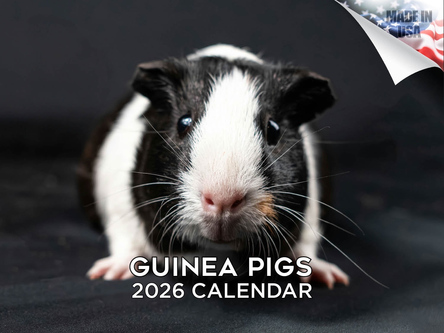 2025 2026 Guinea Pigs Calendar - Cute Animal Monthly Wall Calendar - 12 ...