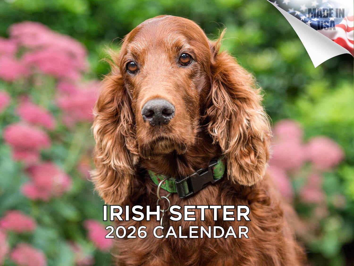 2025 2026 Irish Setter Calendar - Dog Breed Monthly Wall Calendar - 12 ...