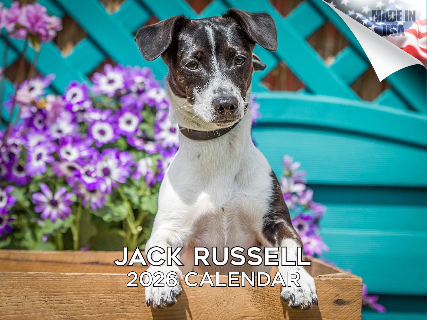 2025 2026 Jack Russell Calendar - Dog Breed Monthly Wall Calendar - 12 x 18 Open - Thick No ...