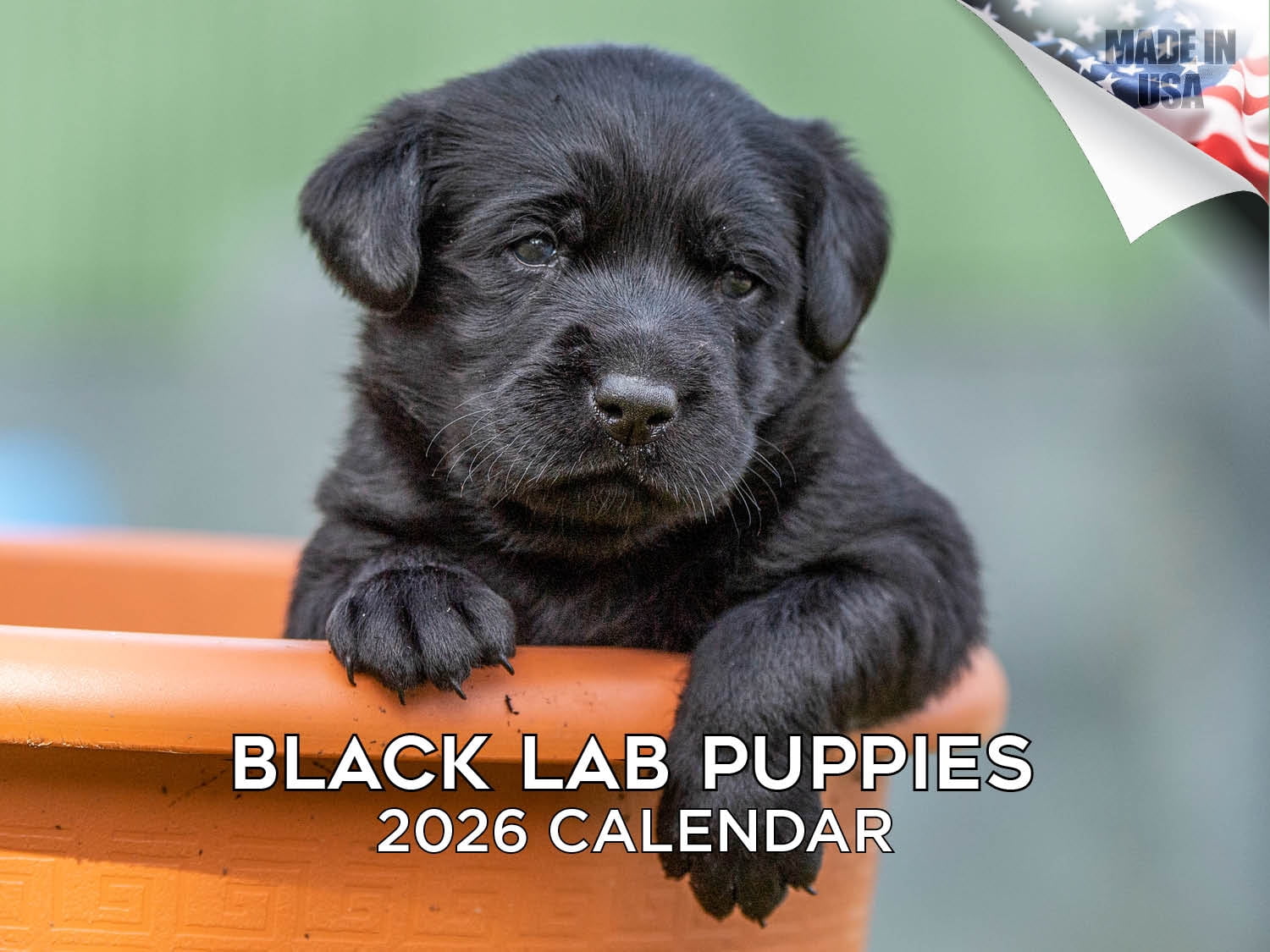 2025 2026 Labrador Pups Black Calendar - Dog Breed Monthly Wall ...