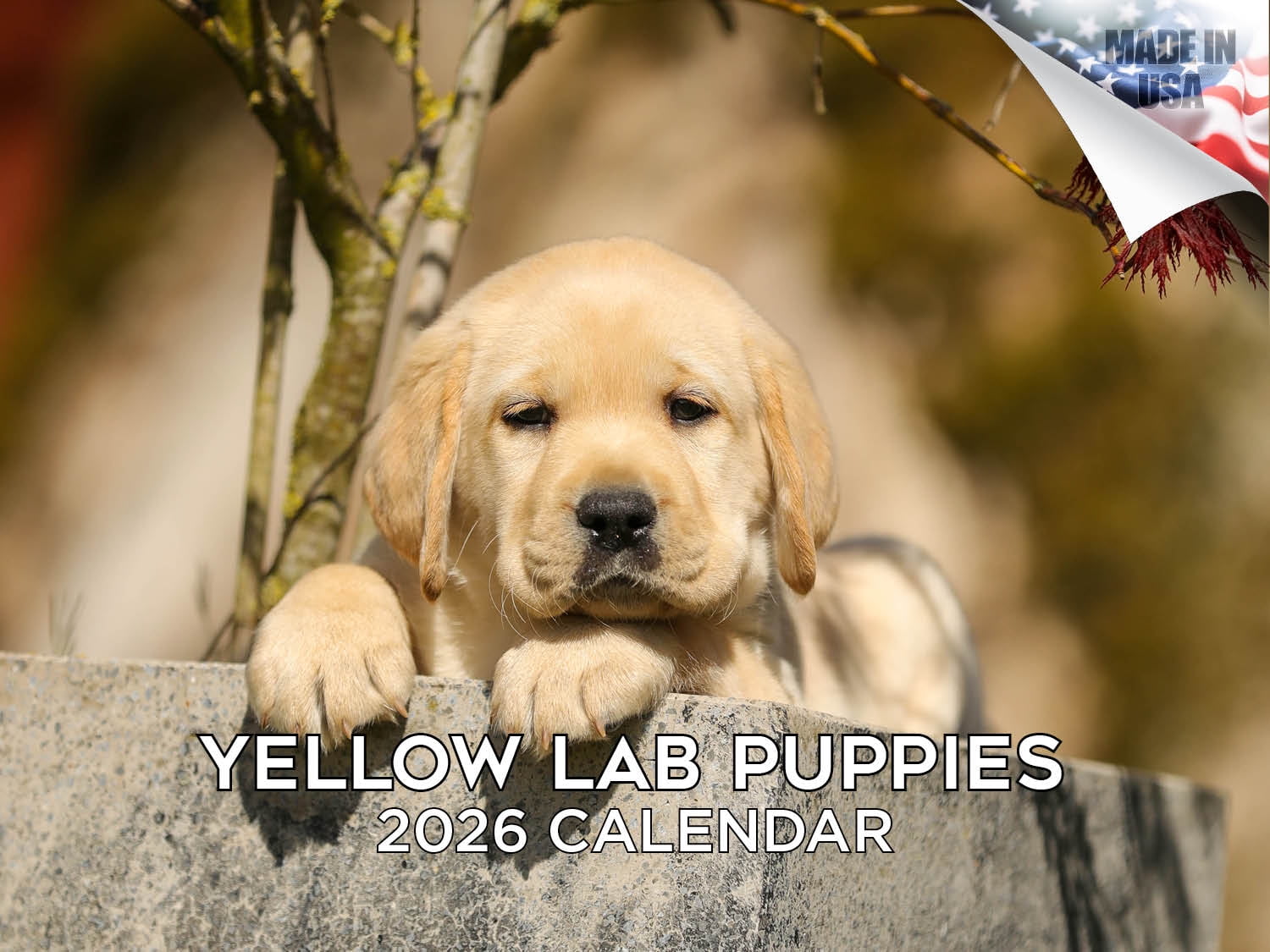 2025 2026 Labrador Pups Yellow Calendar - Dog Breed Monthly Wall ...