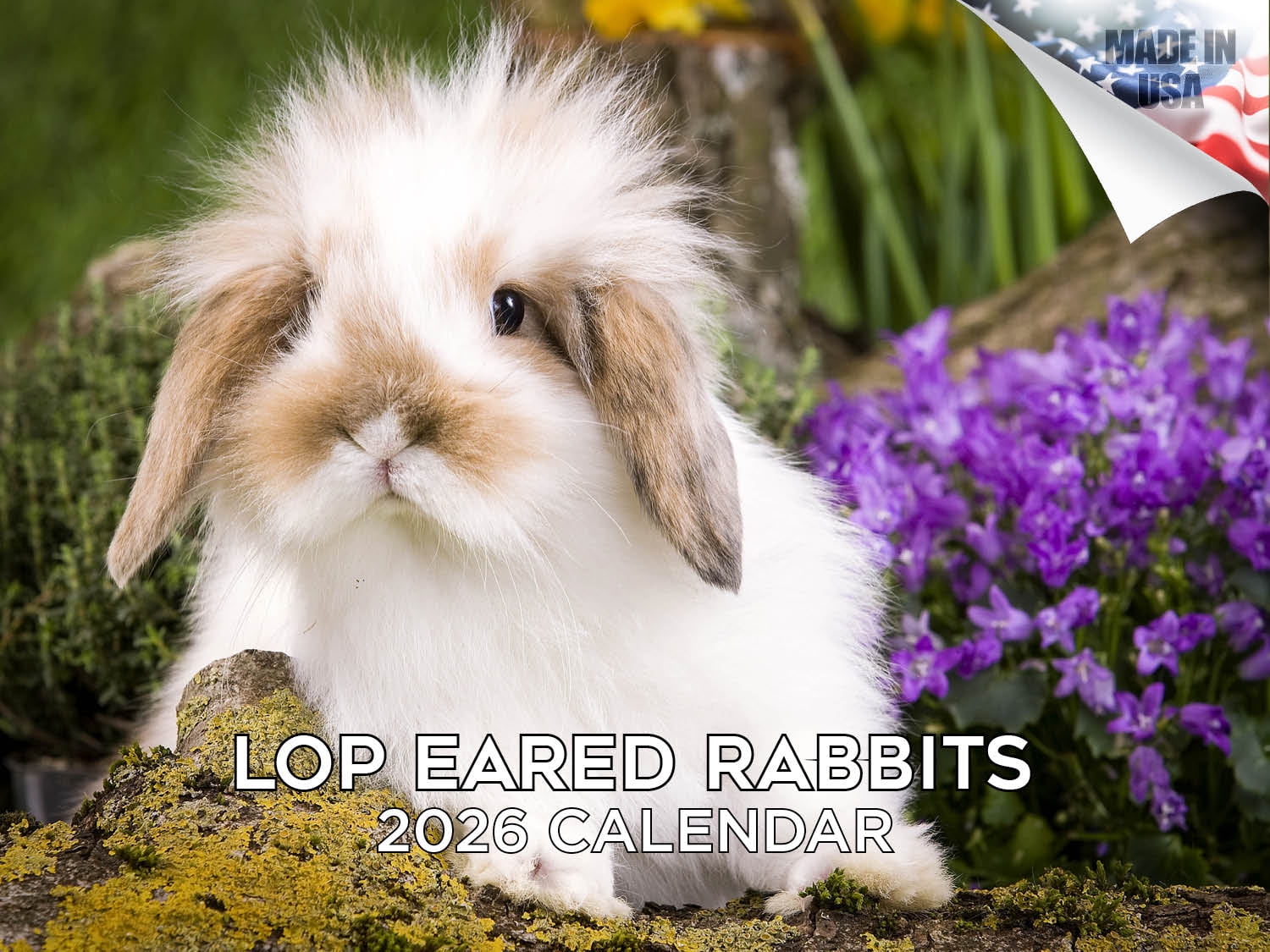 2025 2026 Lop Eared Rabbit Calendar - Cute Animal Monthly Wall Calendar ...