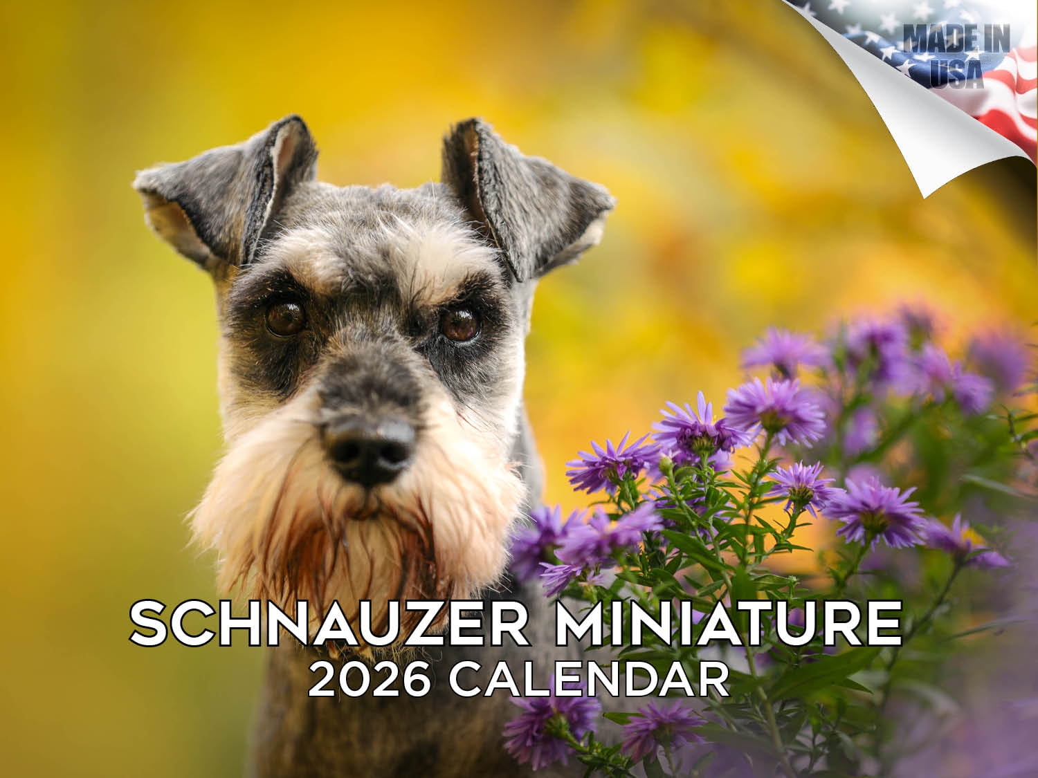 2025 2026 Miniature Schnauzer Calendar - Dog Breed Monthly Wall ...