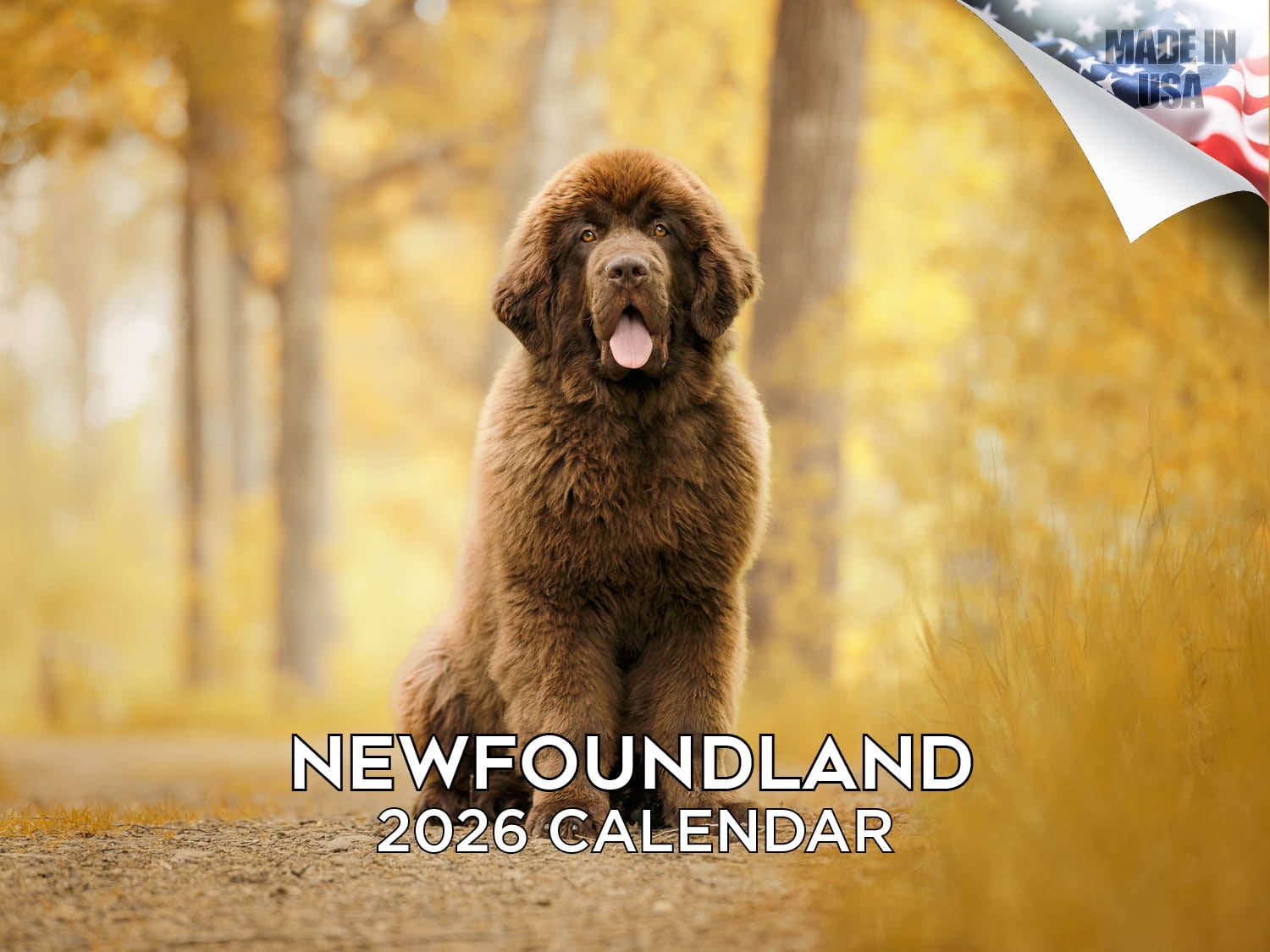 2025 2026 Newfoundland Calendar - Dog Breed Monthly Wall Calendar - 12 ...