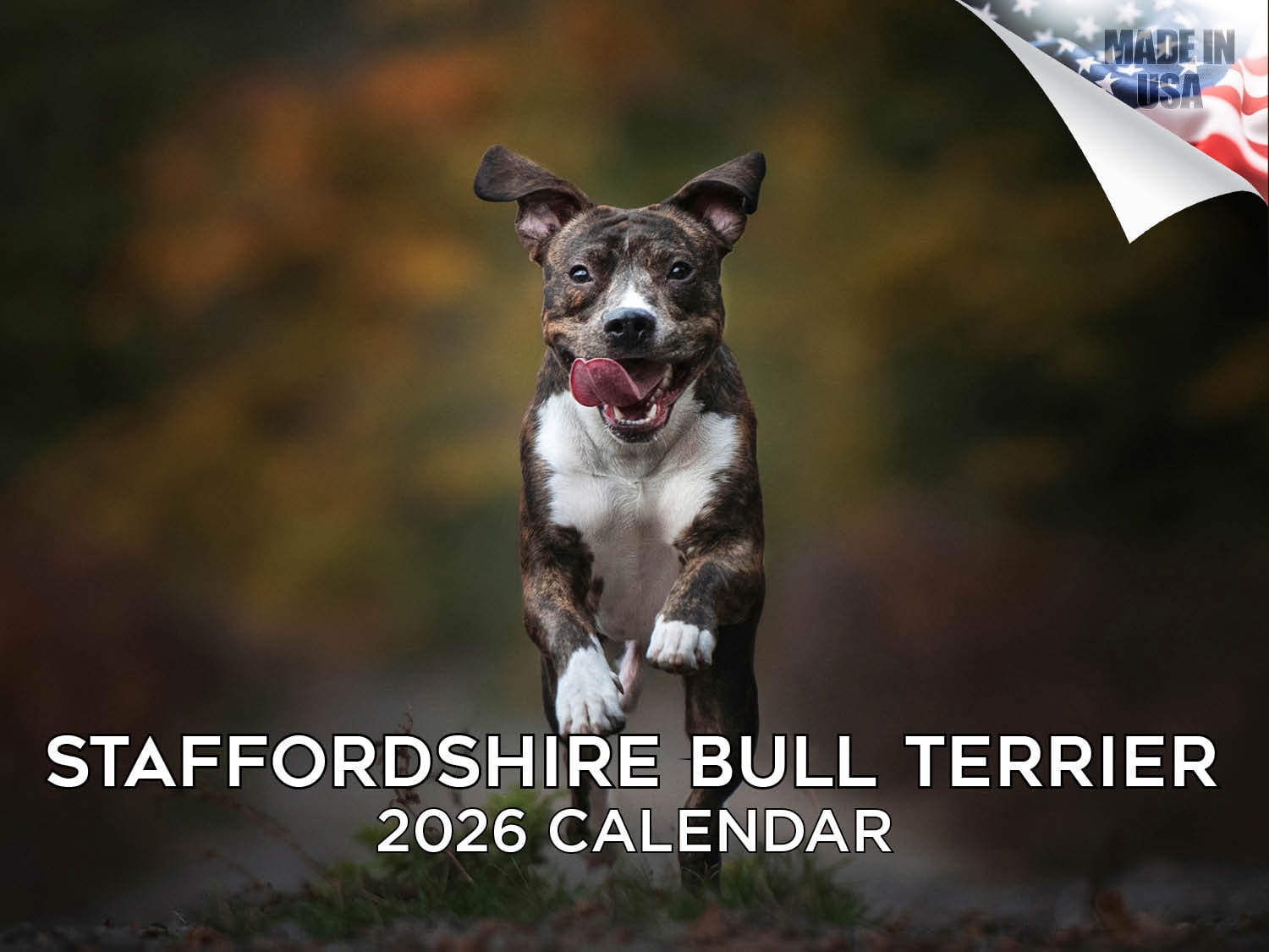 2025 2026 Pitbull Calendar - Staffordshire Bull Terrier Dog Breed ...
