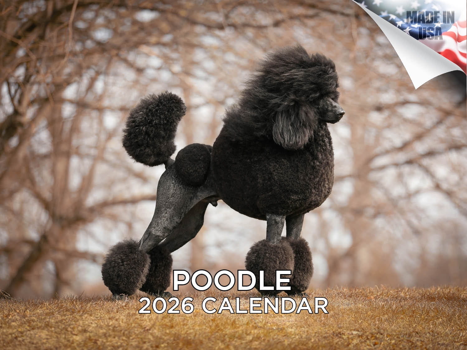 2025 2026 Poodle Calendar - Dog Breed Monthly Wall Calendar - 12 x 18 ...