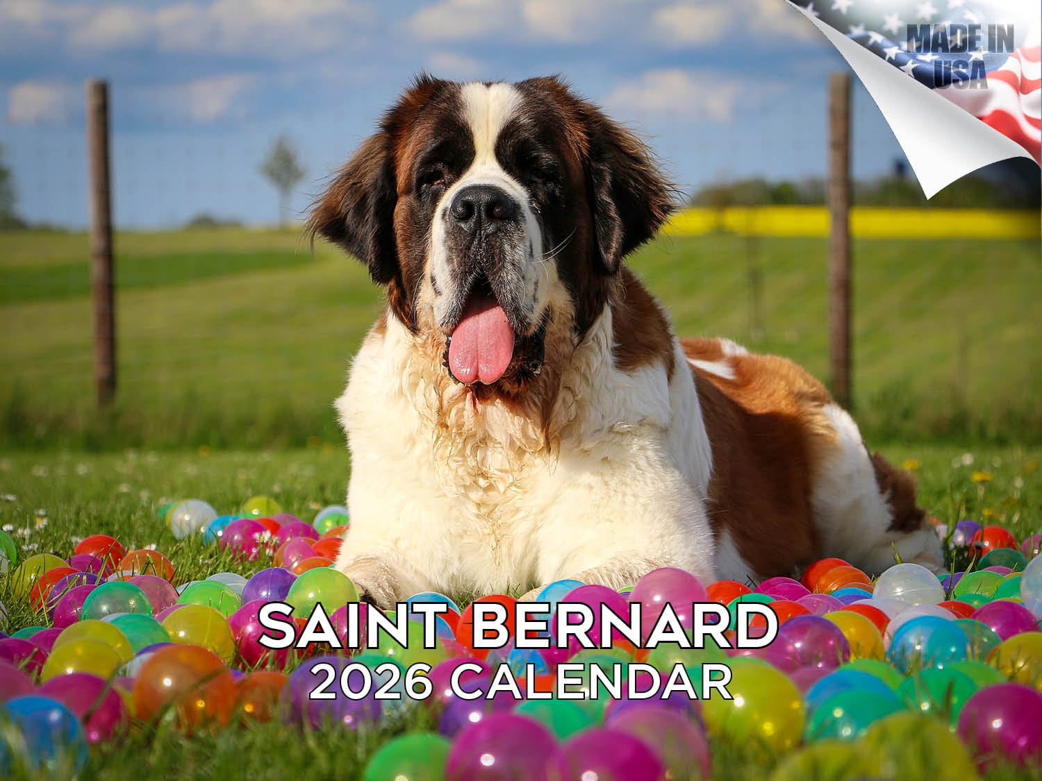 2025 2026 Saint Bernard Calendar - Dog Breed Monthly Wall Calendar - 12 ...