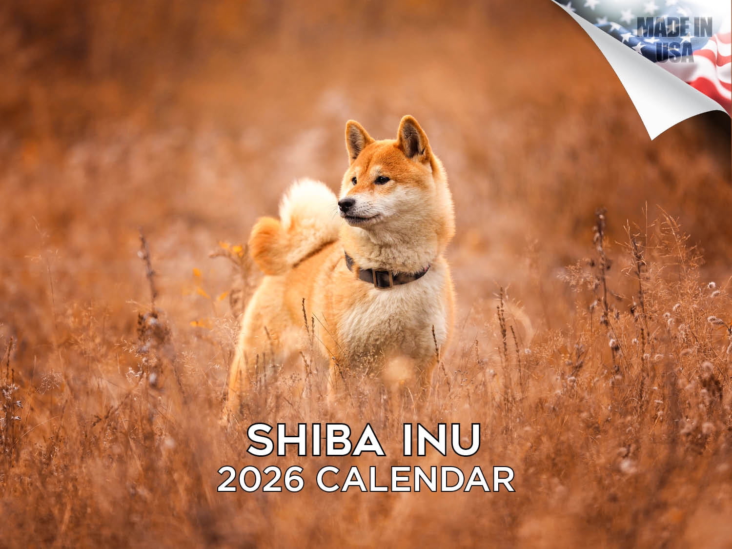 2025 2026 Shiba Inu Calendar - Dog Breed Monthly Wall Calendar - 12 x ...