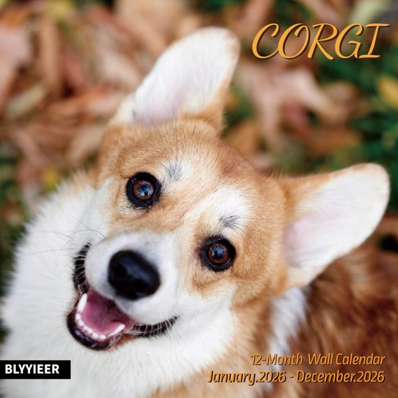 Dog Wall Calendars in Wall Calendars - Walmart.com