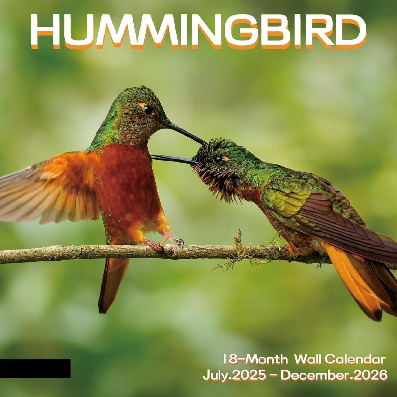 2025-2026 Wall Calendar Hummingbird | 18 Monthly Hangable Hummingbird ...