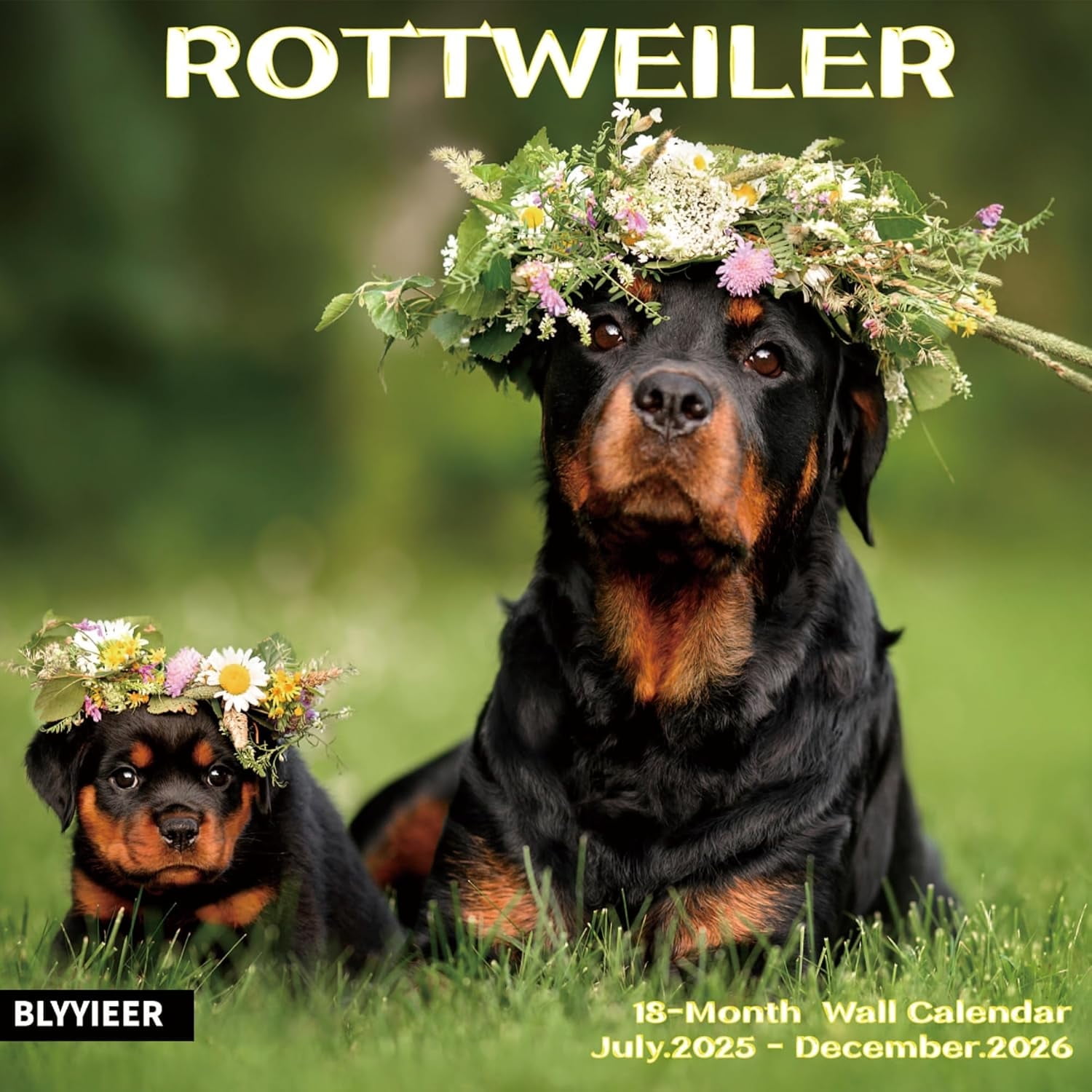 2025-2026 Wall Calendar,ROTTWEILER Wall Calendar, 12" x 24" Open,Family ...
