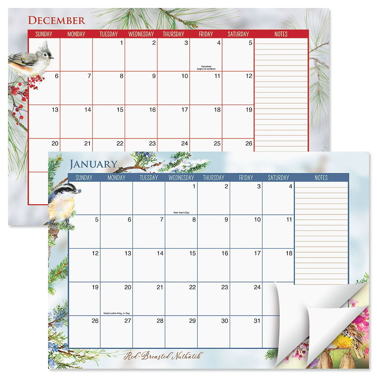 2025-2026 Year of Birds Desk Calendar Pad, 11-Inch x 16-1/4-Inch Size ...