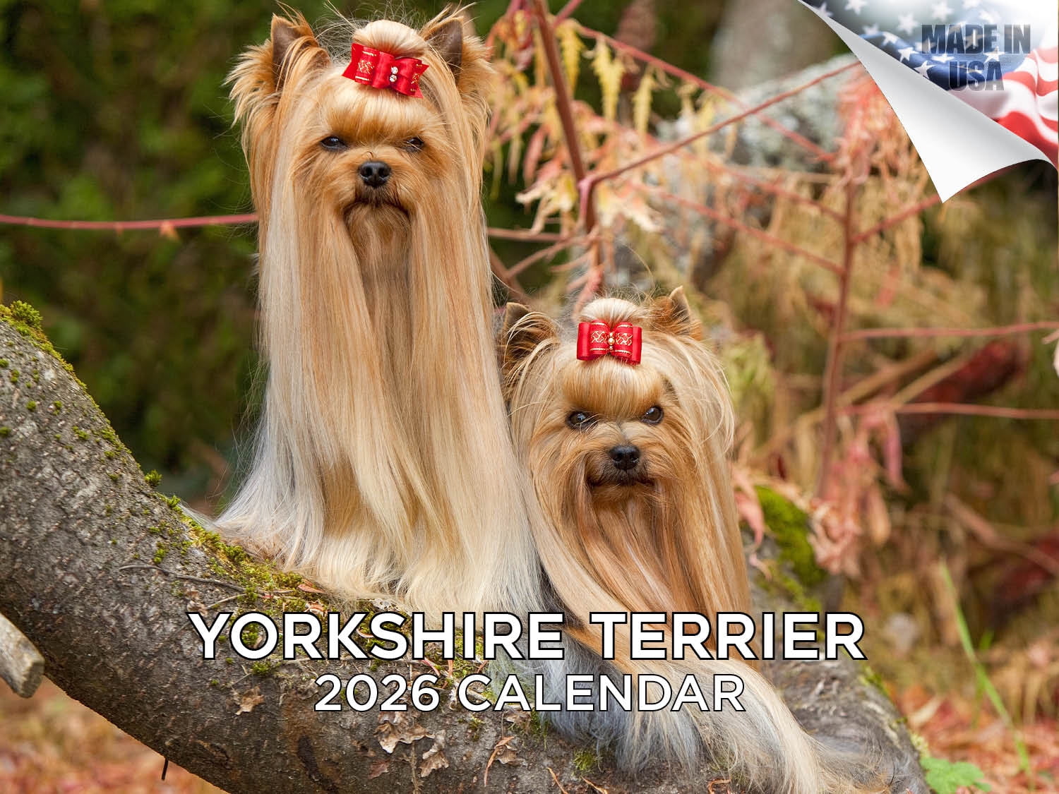 2025 2026 Yorkshire Terrier Calendar - Dog Breed Monthly Wall Calendar ...