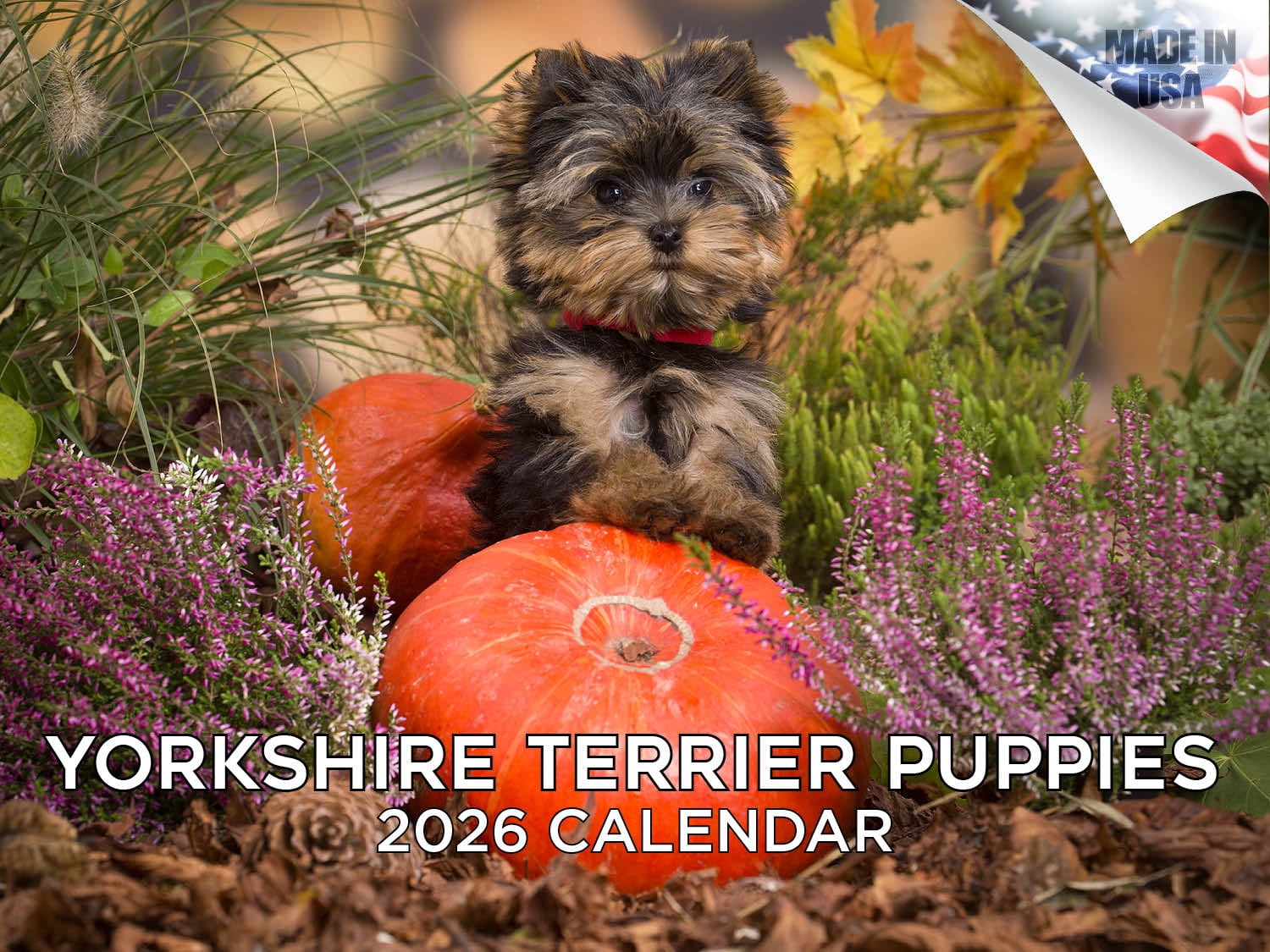 2025 2026 Yorkshire Terrier Puppies Calendar - Dog Breed Monthly Wall ...