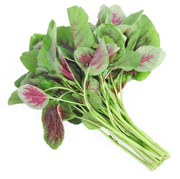 for 2025-500 Amaranth Seeds for Planting.Chinese NSD3 Spinach Seeds for ...