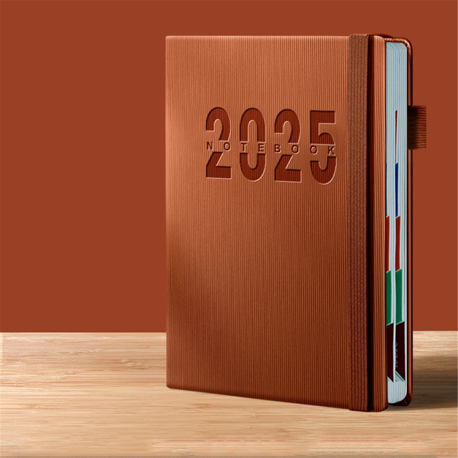 2025 Academic Planner 2025 Monthly Tabs Daily Organizer Twin Wire ...