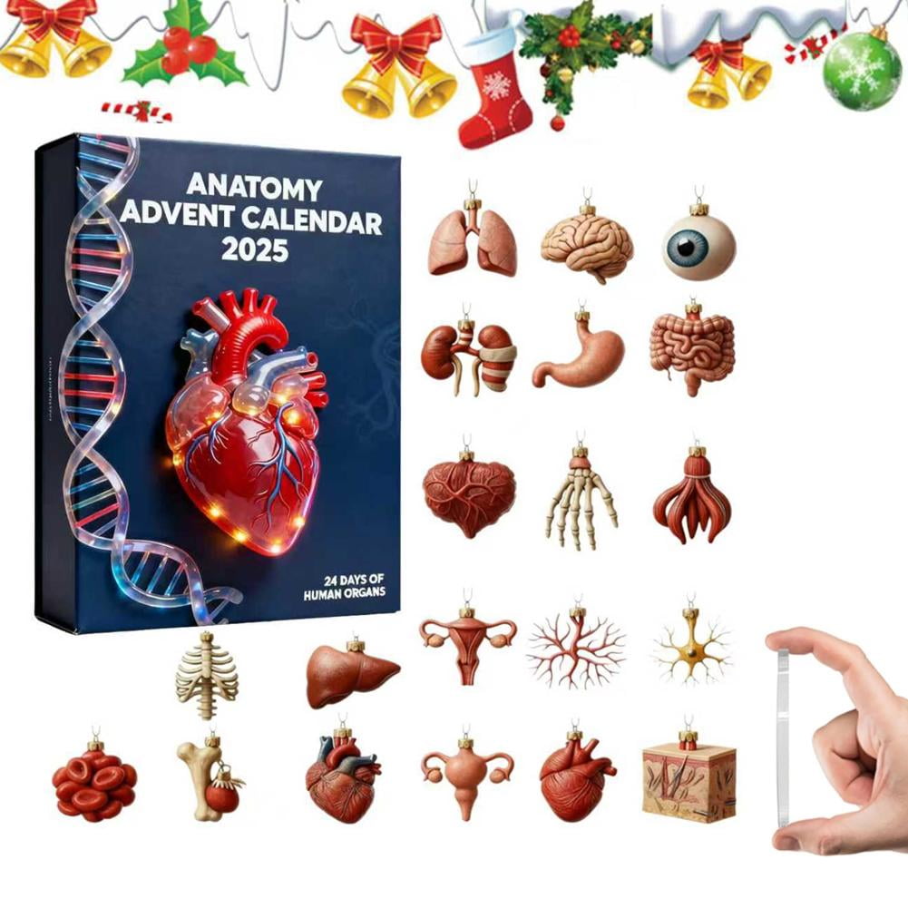 2025 Anatomy Advent Calendars - 24 Days Anatomy Christmas Countdown ...