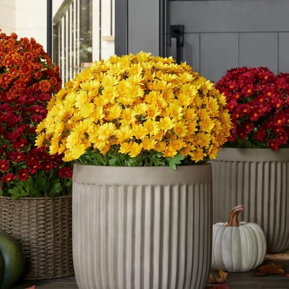 Faux Mums For Outdoors