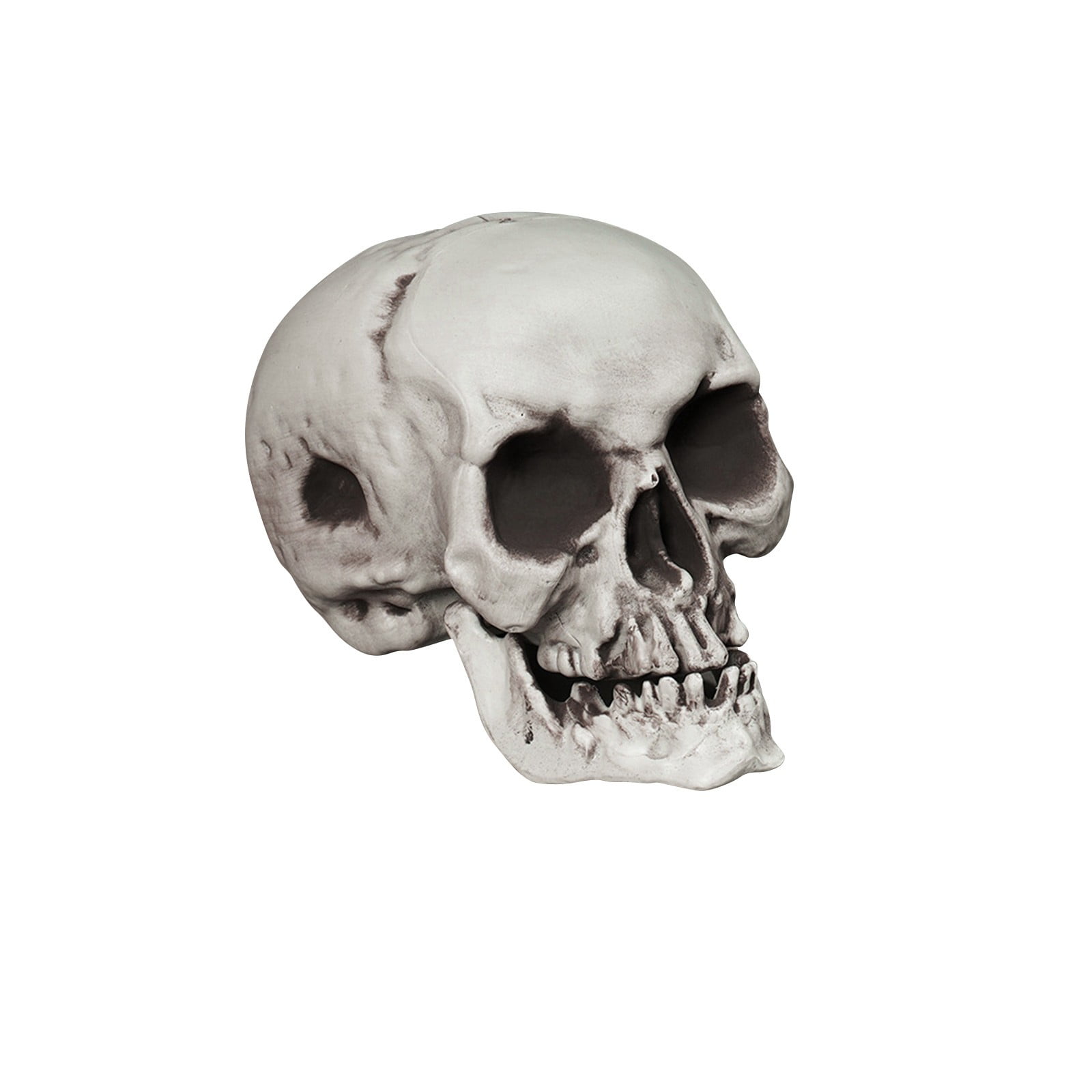 2025 Basysin Halloween Skull Plastic Realistic Looking Skeleton Skull ...