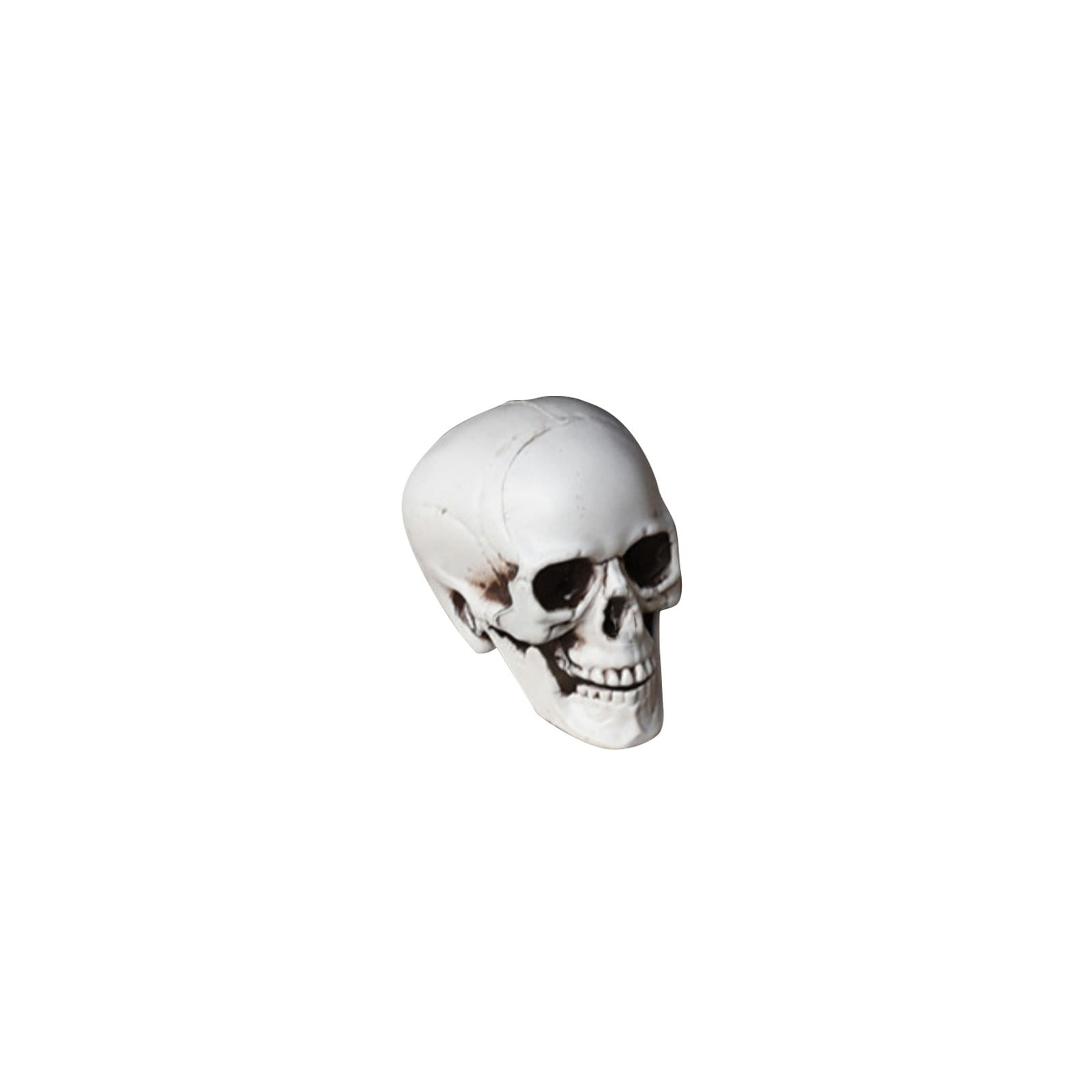 2025 Basysin Halloween Skull, Plastic Realistic Looking Skeleton Skull ...