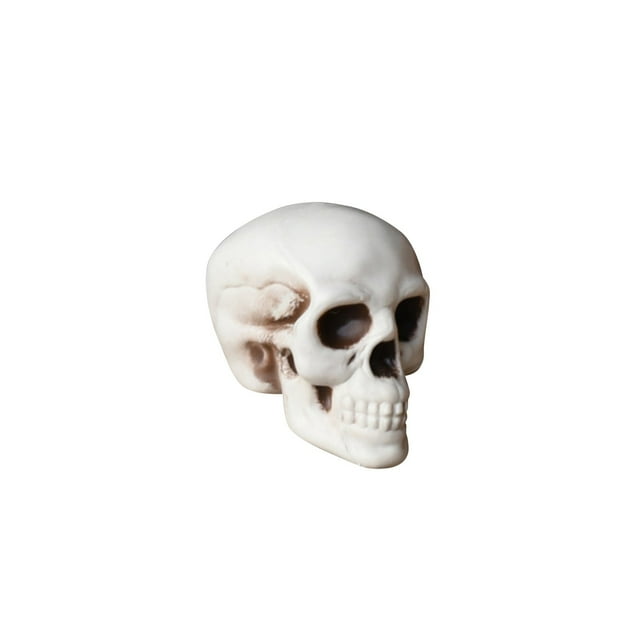 2025 Basysin plastic skull heads Halloween Scary Simulation Skull Decor ...