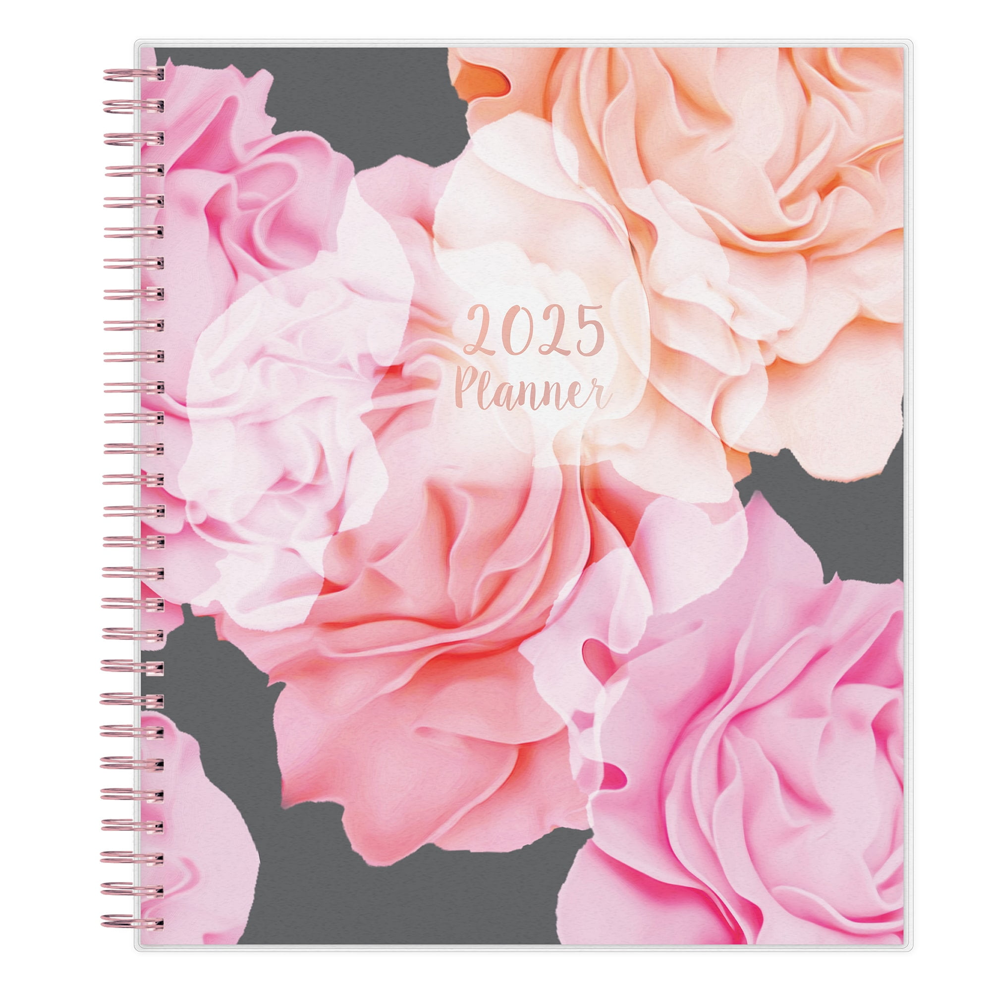 2025 Blue Sky Monthly Planning Calendar, 8" x 10", Joselyn Frosted ...
