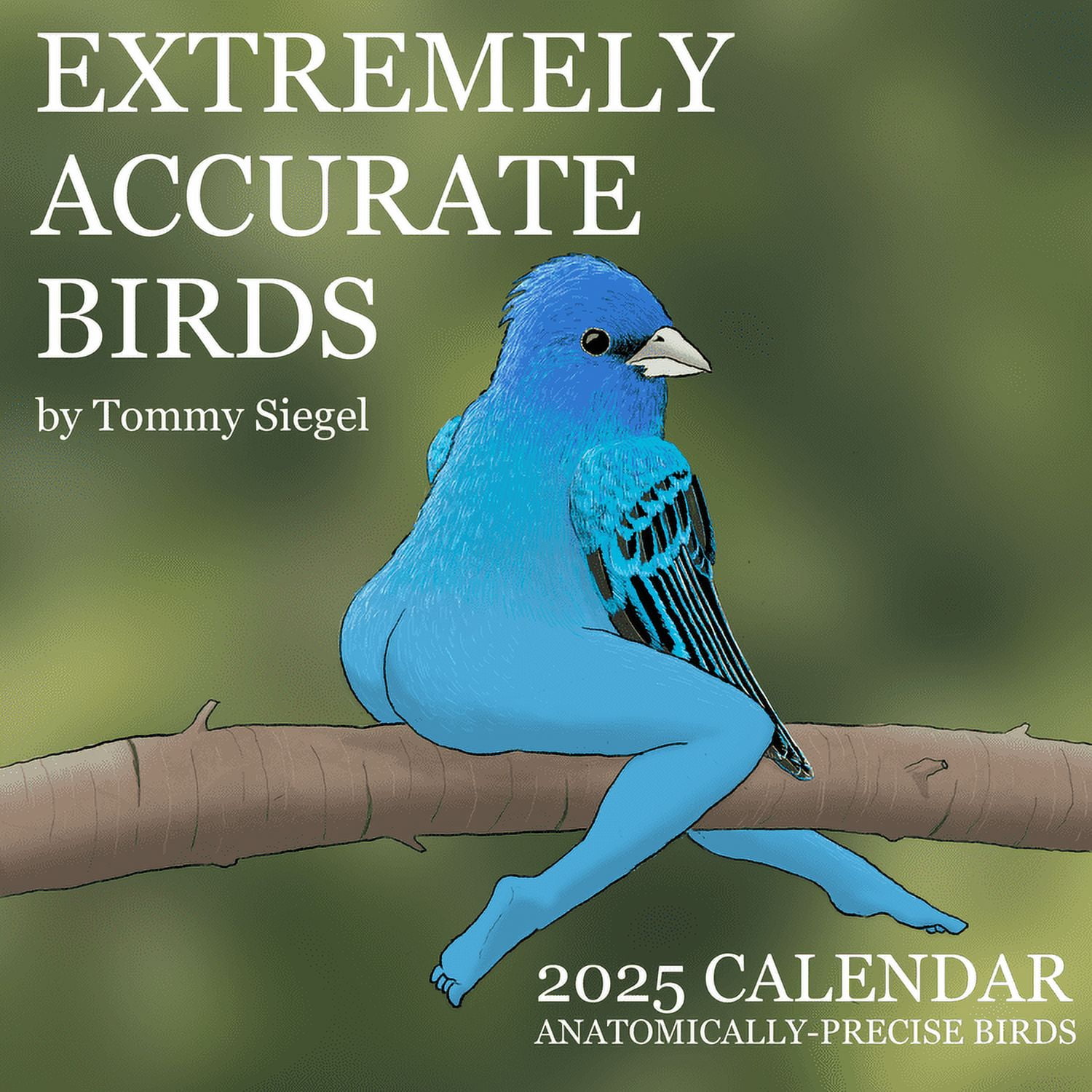 2025 Calendar of Extremely Accurate Birds by Tommy Siegel - Walmart.com