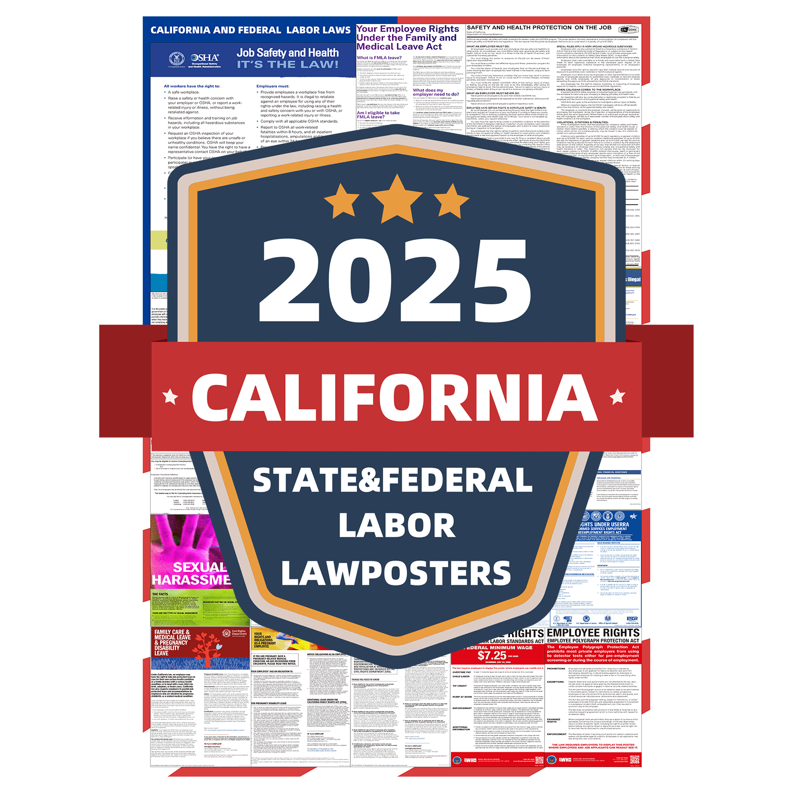 2025 California State and Federal Labor Laws Poster - English Version ...