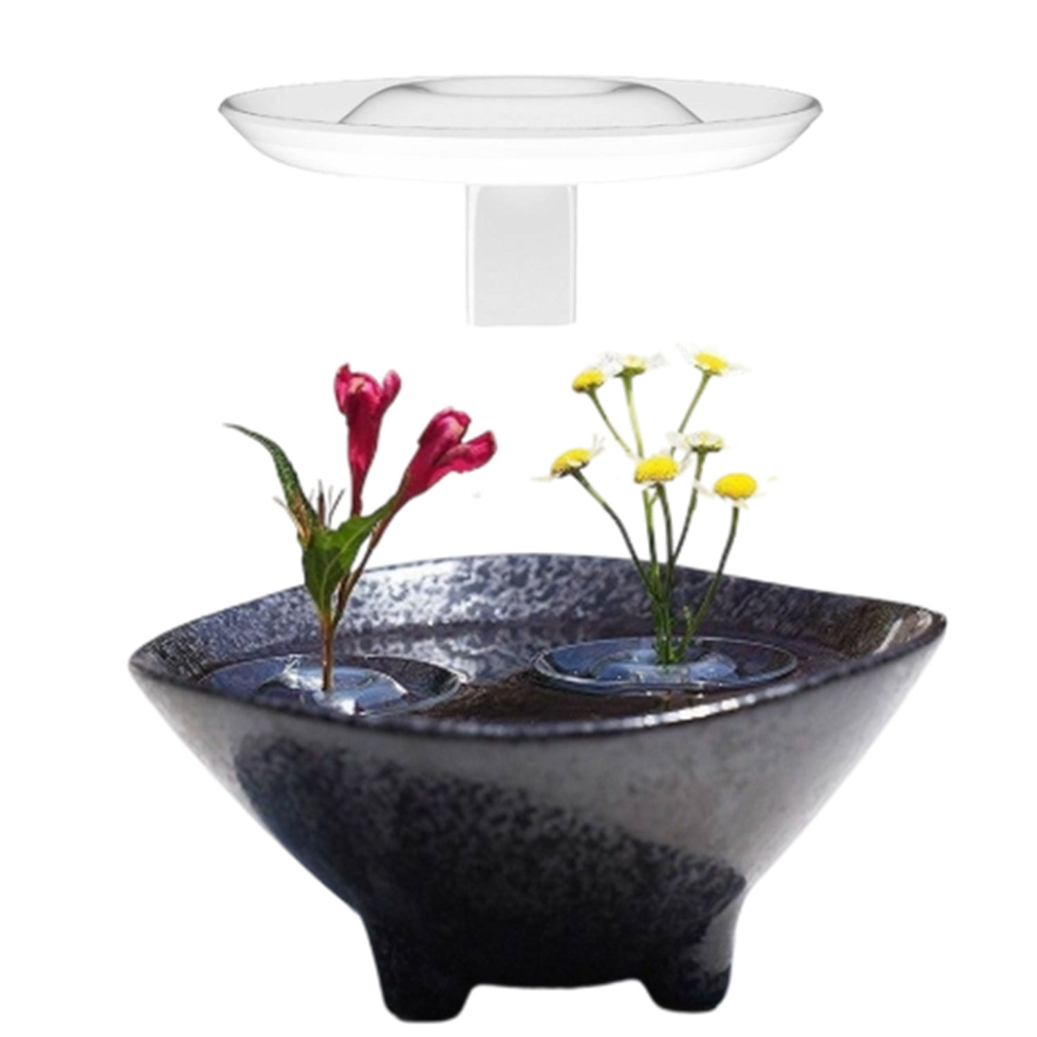 2025 Creative Floating Floral Arrangement Holder with Dynamic Rotation ...