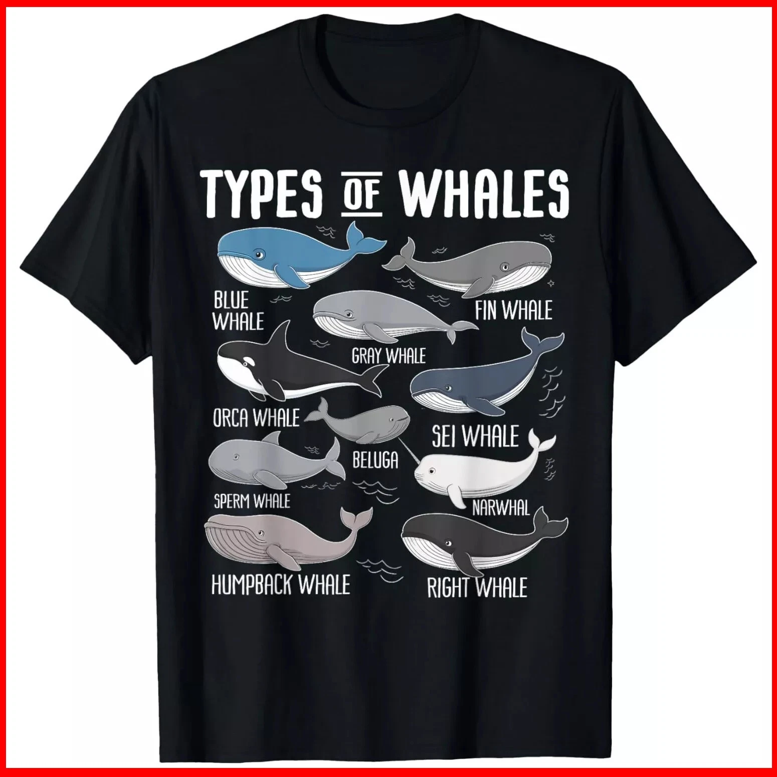 2025/Cute Types Of Whales Ocean Mammals Guide Whale Black Cotton T ...