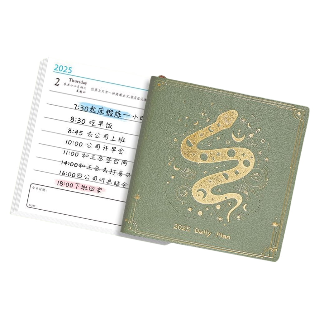 2025 Daily Planner 1 Day Per Page for Daily Schedules Notes Memos ...
