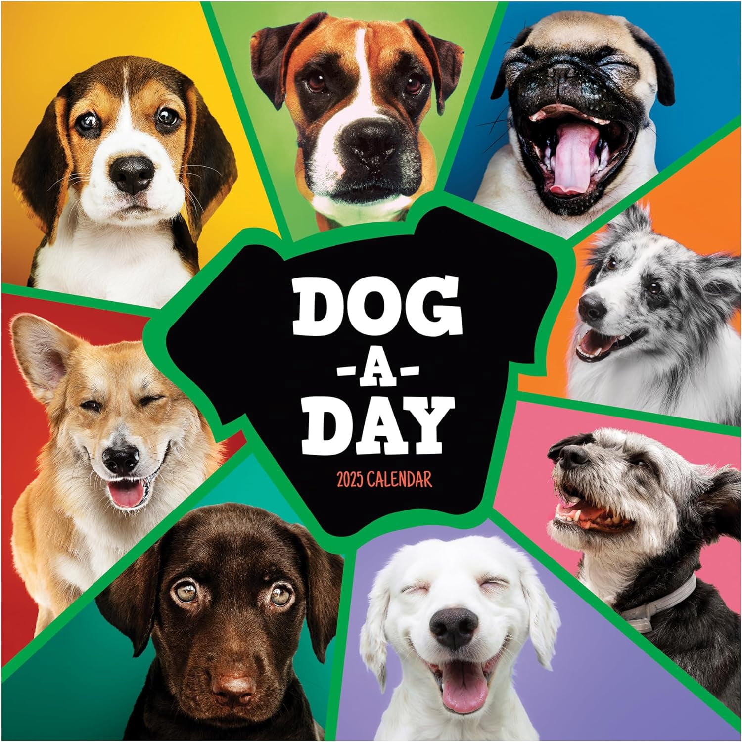 TF Publishing Dog Wall Calendars in Wall Calendars - Walmart.com