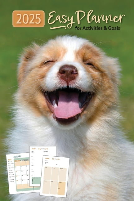 2025 Easy Planner for Activities and Goals, (Paperback) - Walmart.com