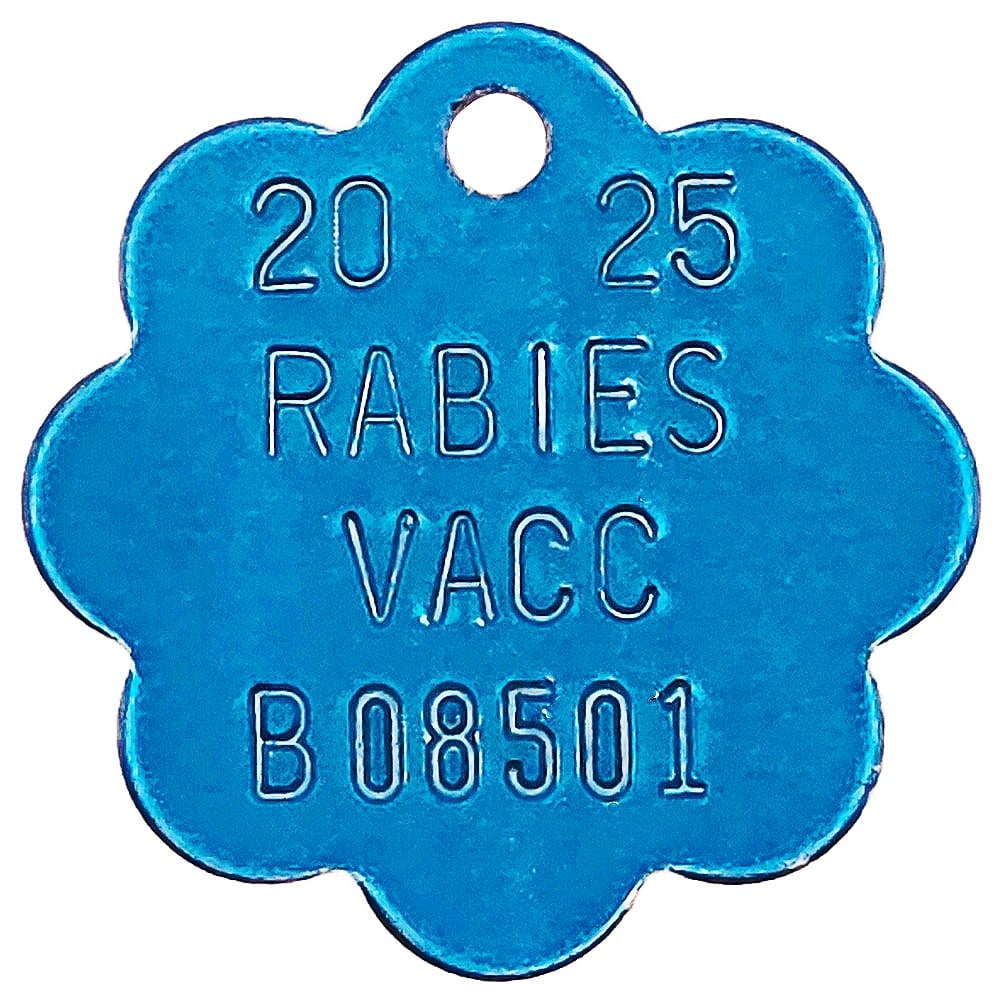 Generic Rabies Vaccination Tags for Veterinarians (Pack of 100) 2025 ...