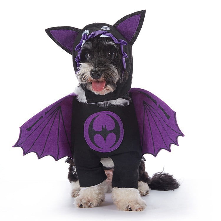 2025 Halloween Costumes for Dogs, Flying Demon Small Dog Halloween ...
