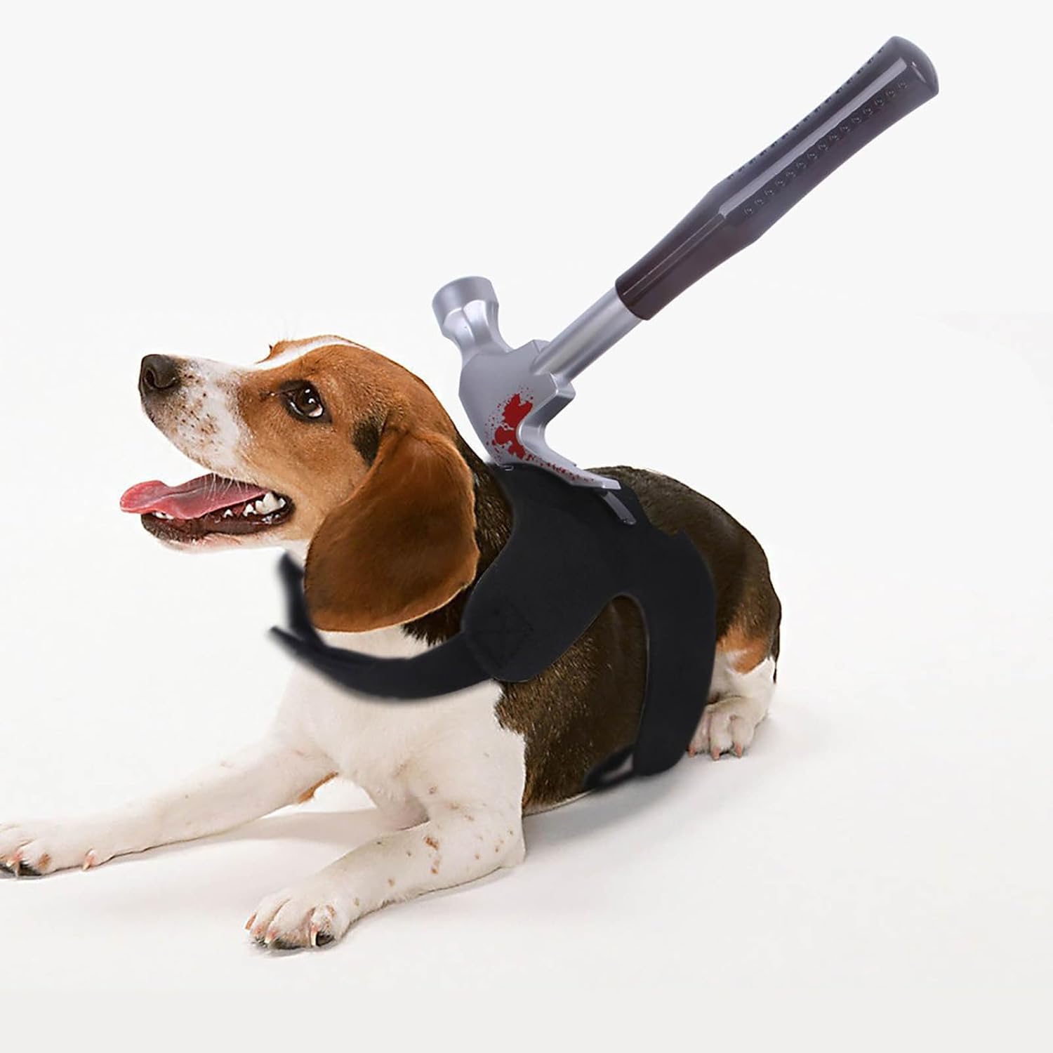 2025 Halloween Pet Costumes - Dress Up Outfits for Halloween Party, Dog ...