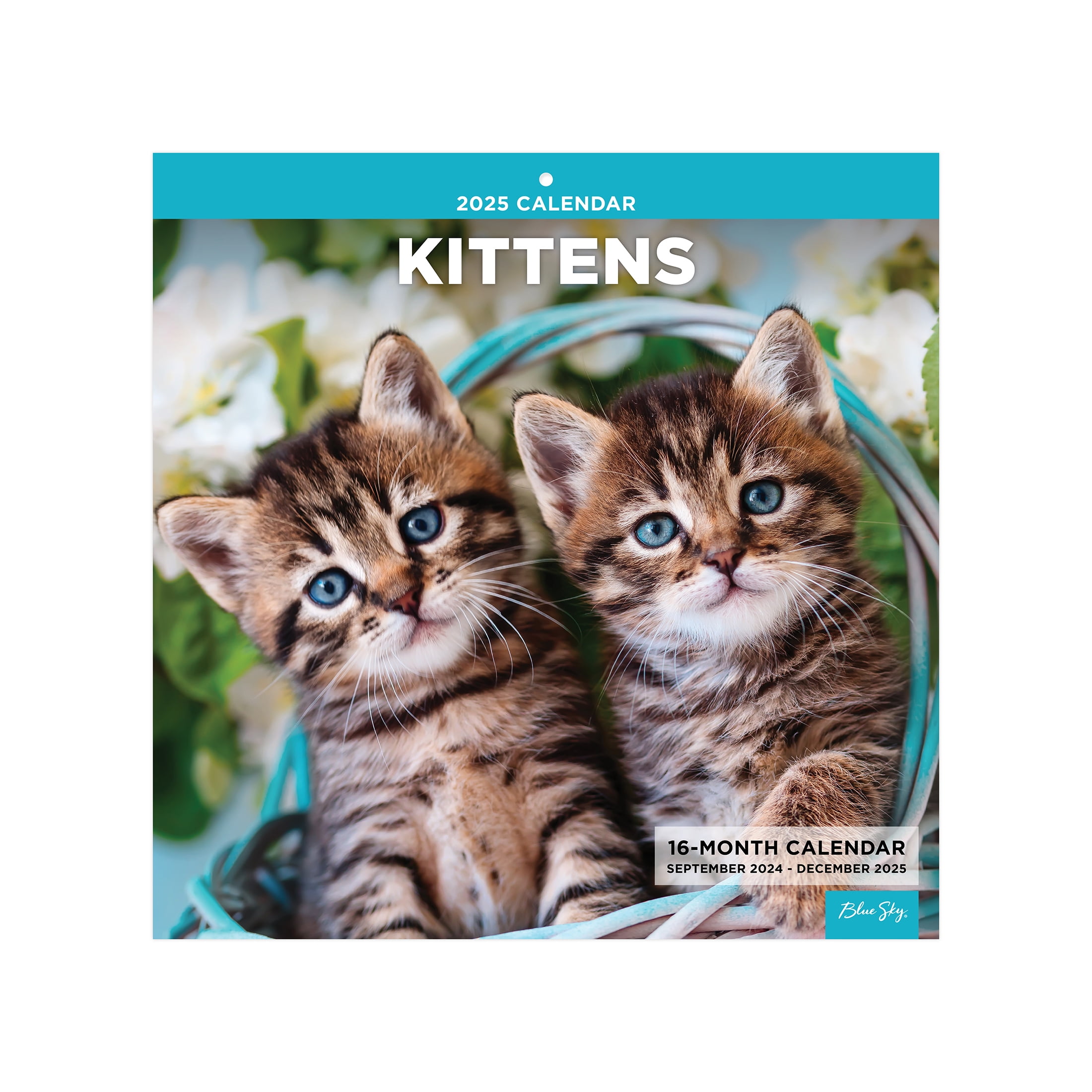 2025 Hanging Wall Calendar, Kittens, 12x12 by Blue Sky - Walmart.com