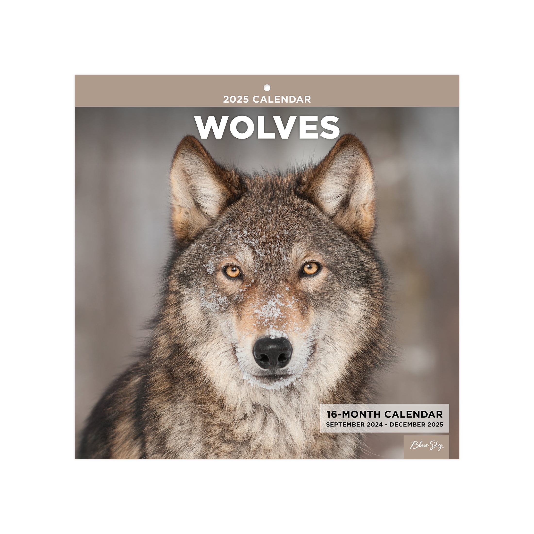 2025 Hanging Wall Calendar, Wolves, 12x12 by Blue Sky - Walmart.com
