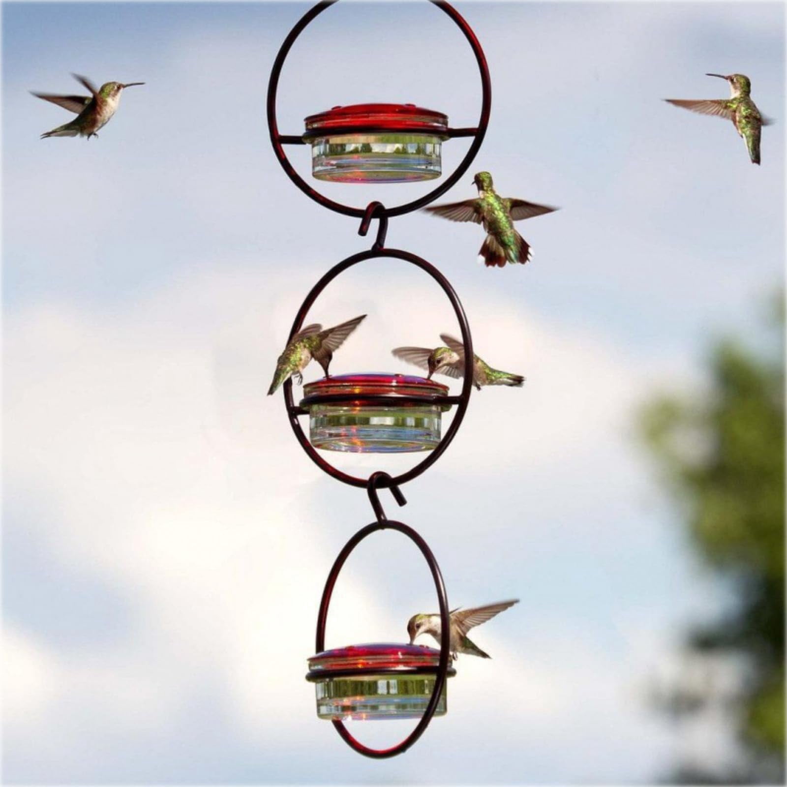 2025 Hummingbird Feeder, Round Hanging Hummingbird Feeder, Outdoor ...