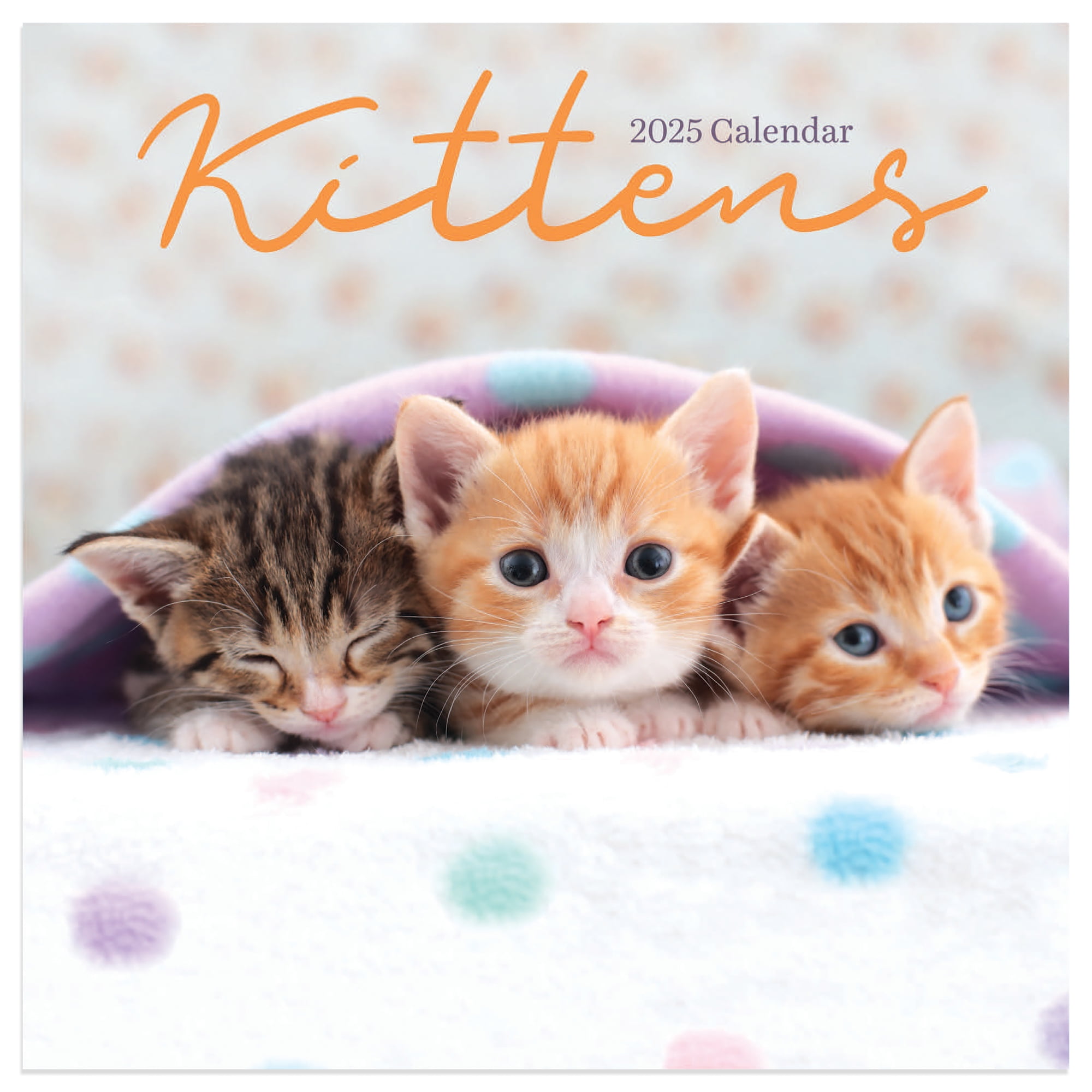 2025 Kittens Mini Calendar - Walmart.com