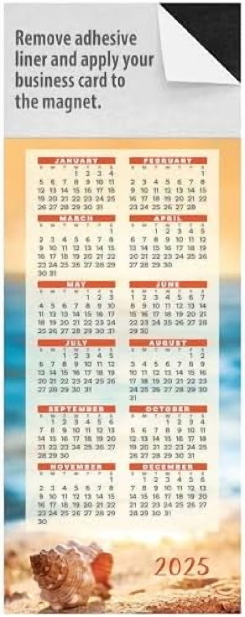 2025 Magnetic Yealy Glance Calendar, Peel and Stick Business Card ...