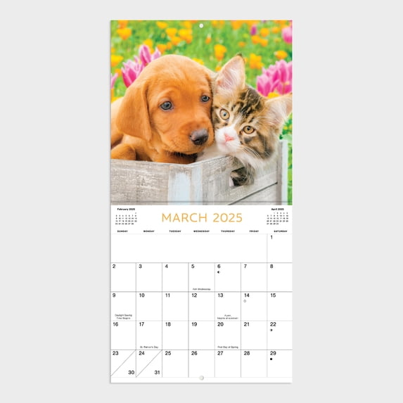 2025 Mini Wall Calendar - Buddies Mini- 7"x7" by Dayspring - Walmart.com