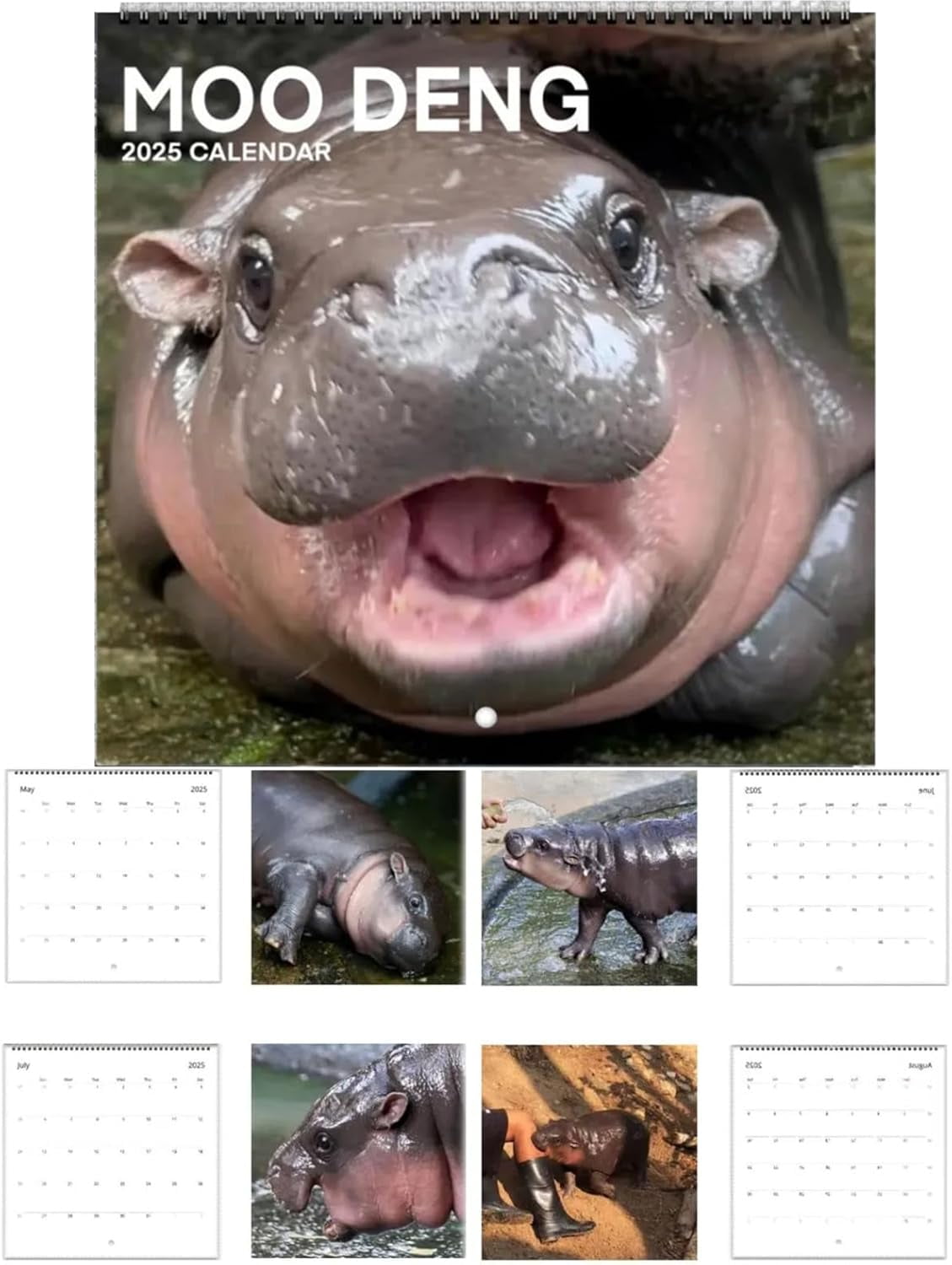 2025 Moo Deng Calendar, 2025 Moo Deng Dwarf Hippo Hangable Monthly ...