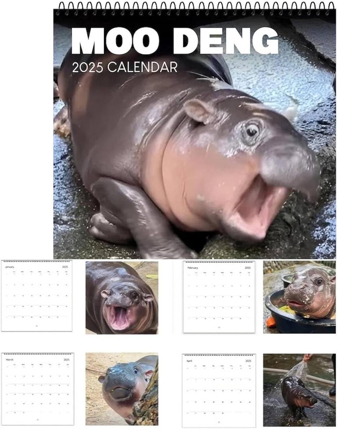 2025 Moo Dengs Calendar, 2025 Hippopotamus Pygmy Hippo Hangable Monthly Calendar for Wall, 2025 ...