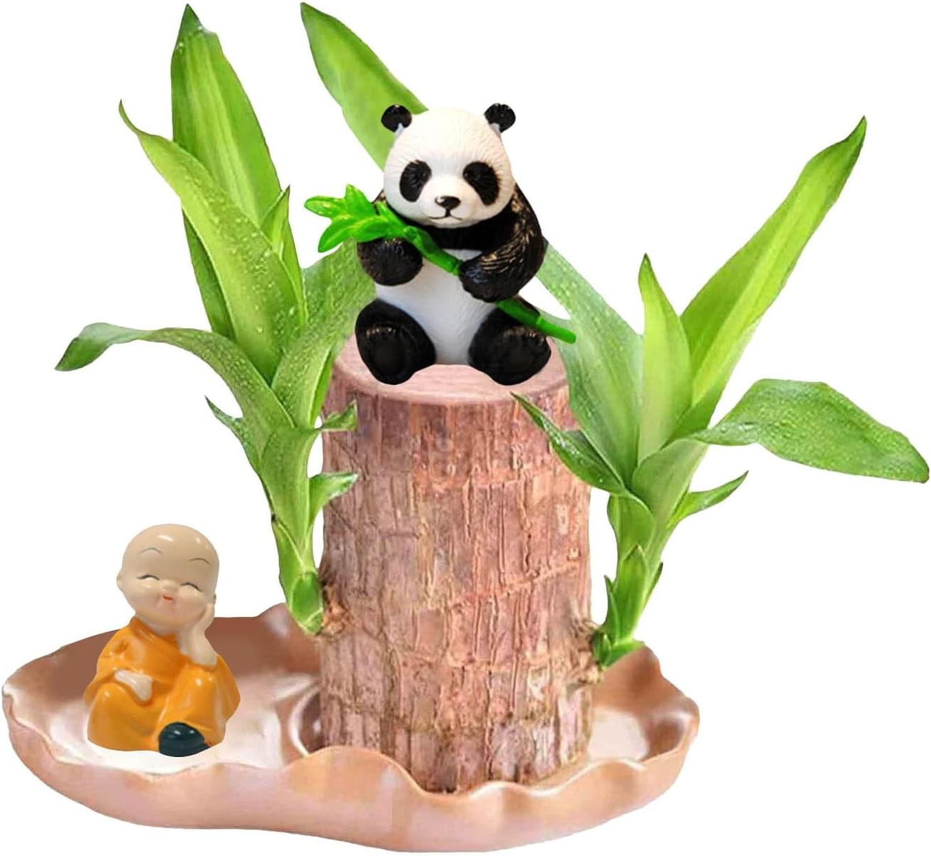 2025 New Brazilian Wood Plant Set, Brazilian Wood Hydroponic Plant ...