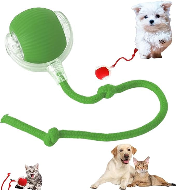 2025 New Electric Dog Ball Toy,Electric Ball Dog Toy for Cat,360° Smart ...