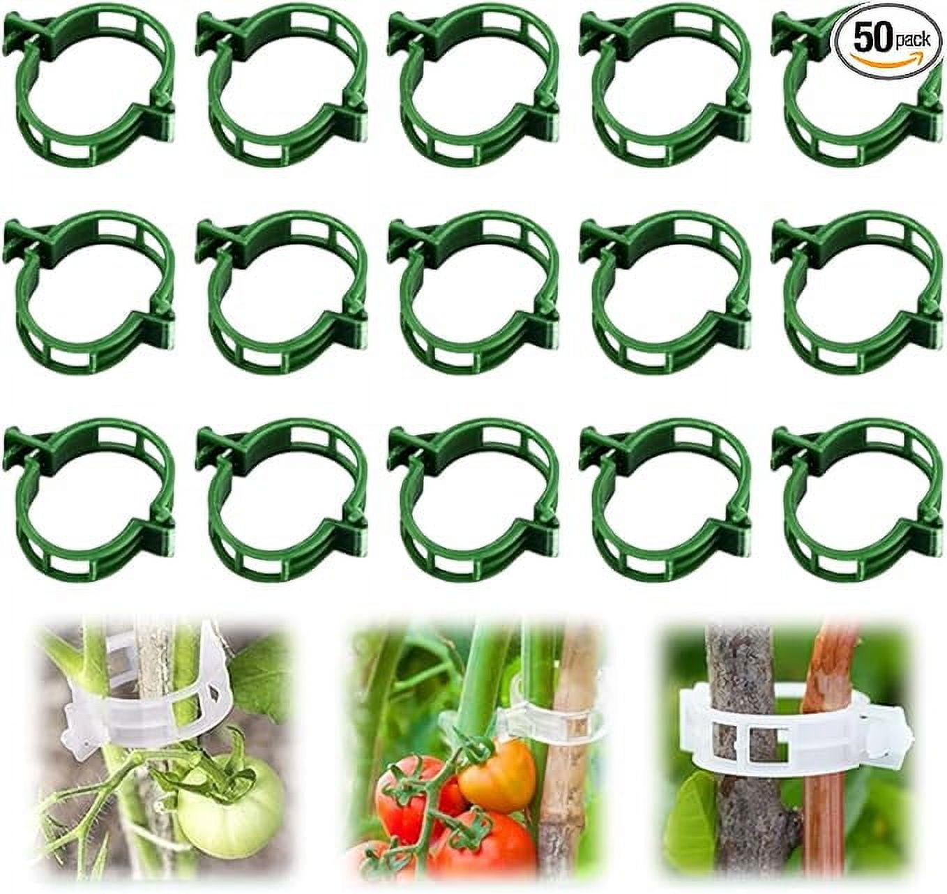 2025 New Garden Plant Clips (100 Pack) - Reusable Plastic Trellis for ...