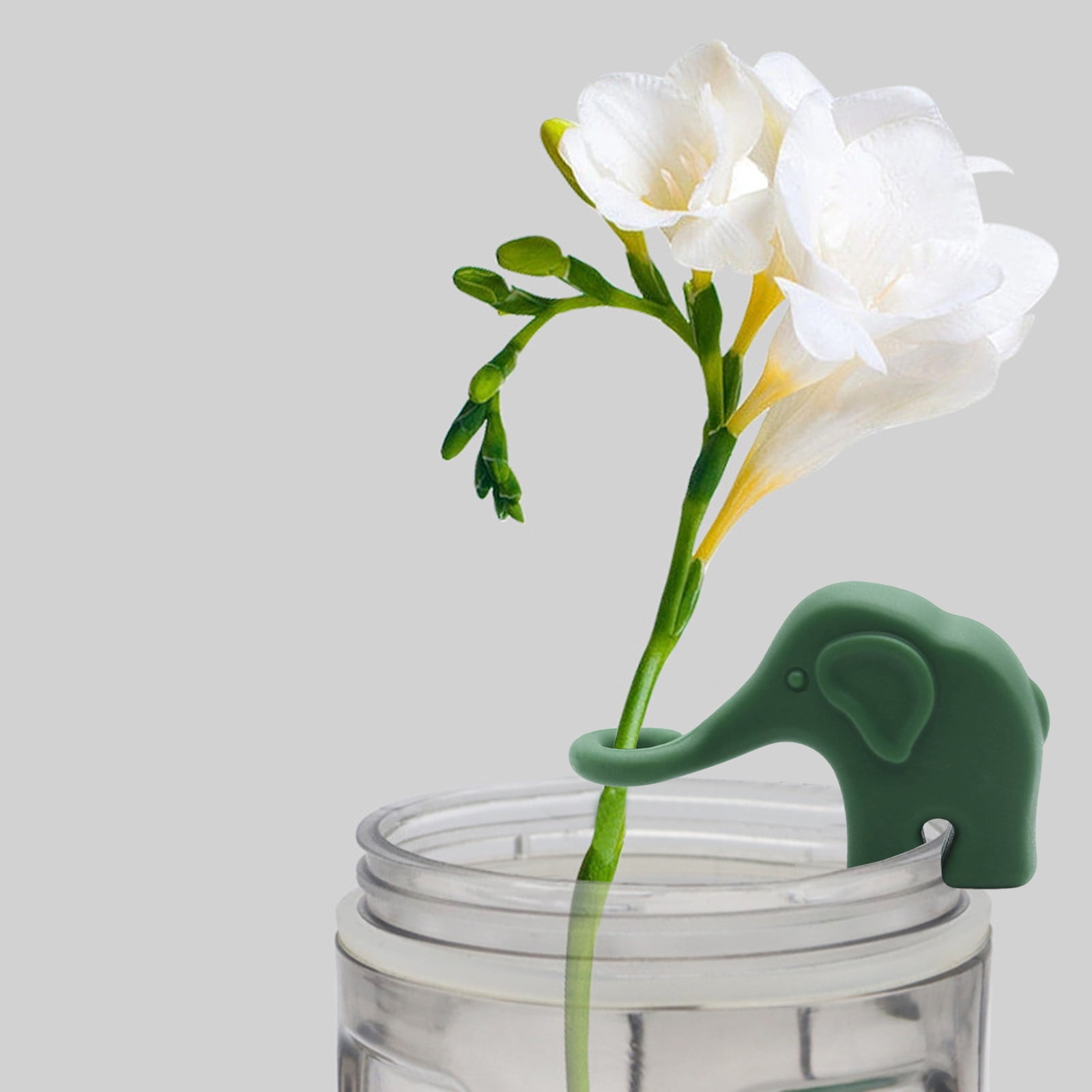 2025 New Plant Propagation Buddy, Plant Breeding Friend, Cute Cutting ...