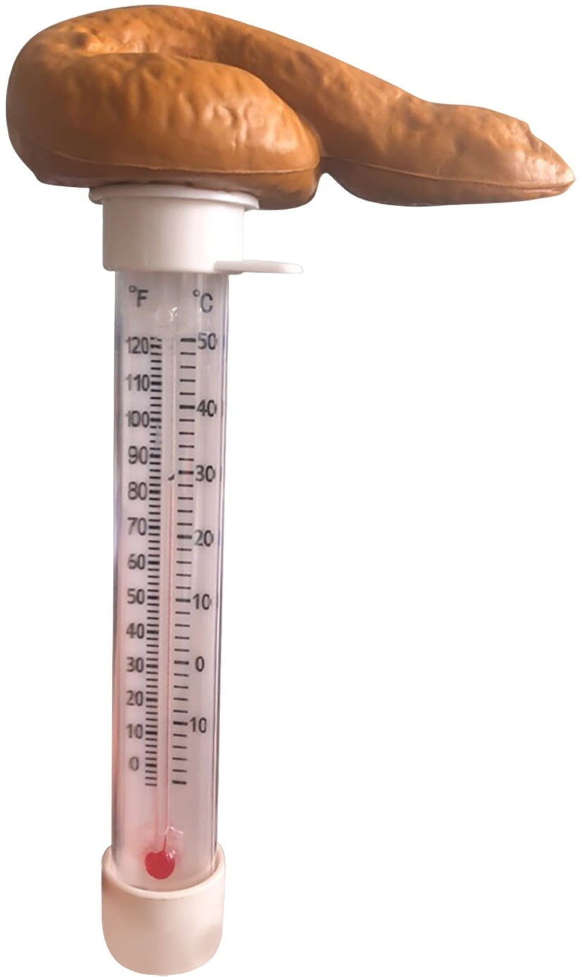 2025 New Pool Thermometer Floating- Easy Read Pool Thermometer – Fun ...