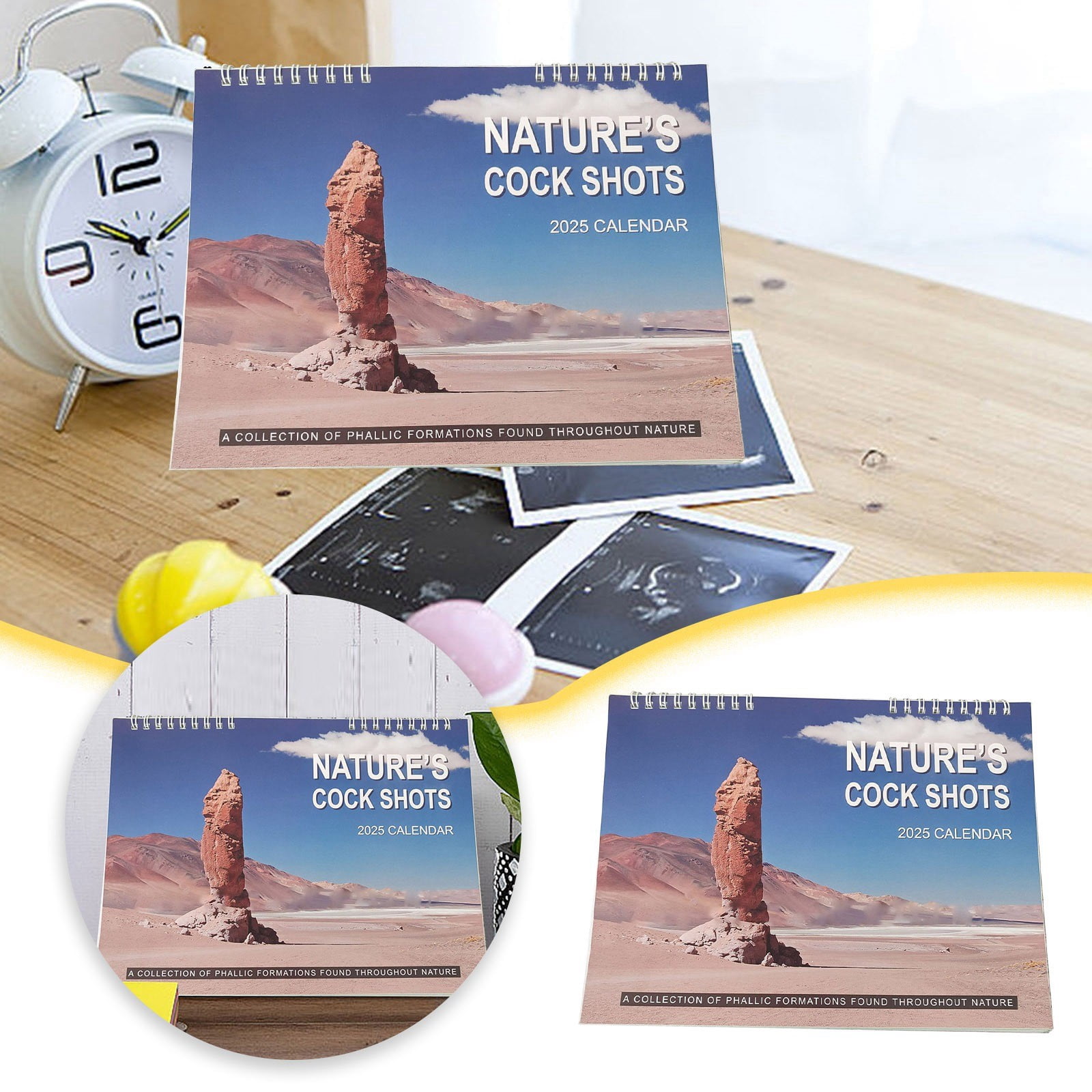 2025 Newest Desk Calendar and Wall Calendar 2025 Funny Nature Calendar ...